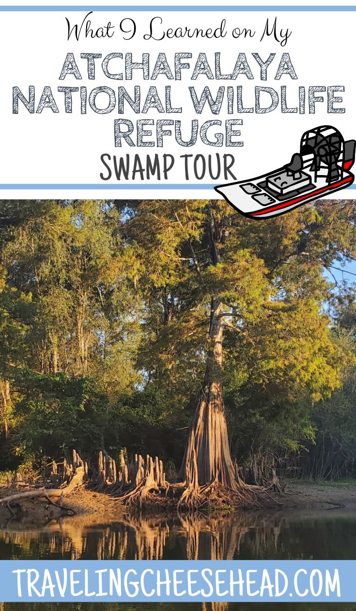 About My Louisiana Atchafalaya National Wildlife Refuge Tour