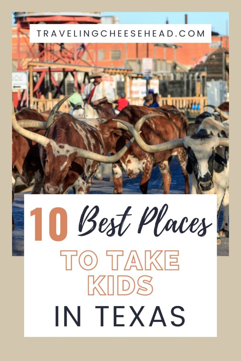 10 Best Places to Take Kids in Texas: Fun and Educational Activities ...