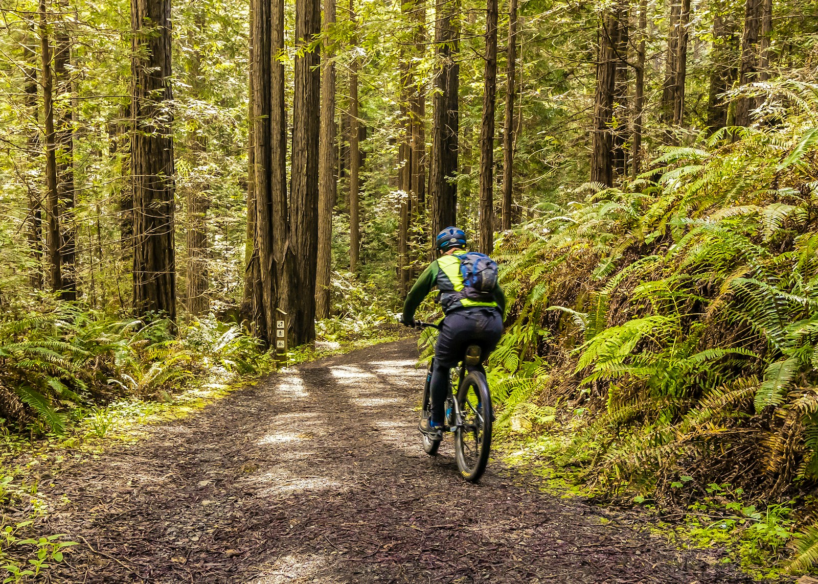 Best Wisconsin Bike Trails: Explore the Scenic Routes - Traveling ...